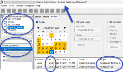 How To Have Success With Avamar Bare Metal Recovery